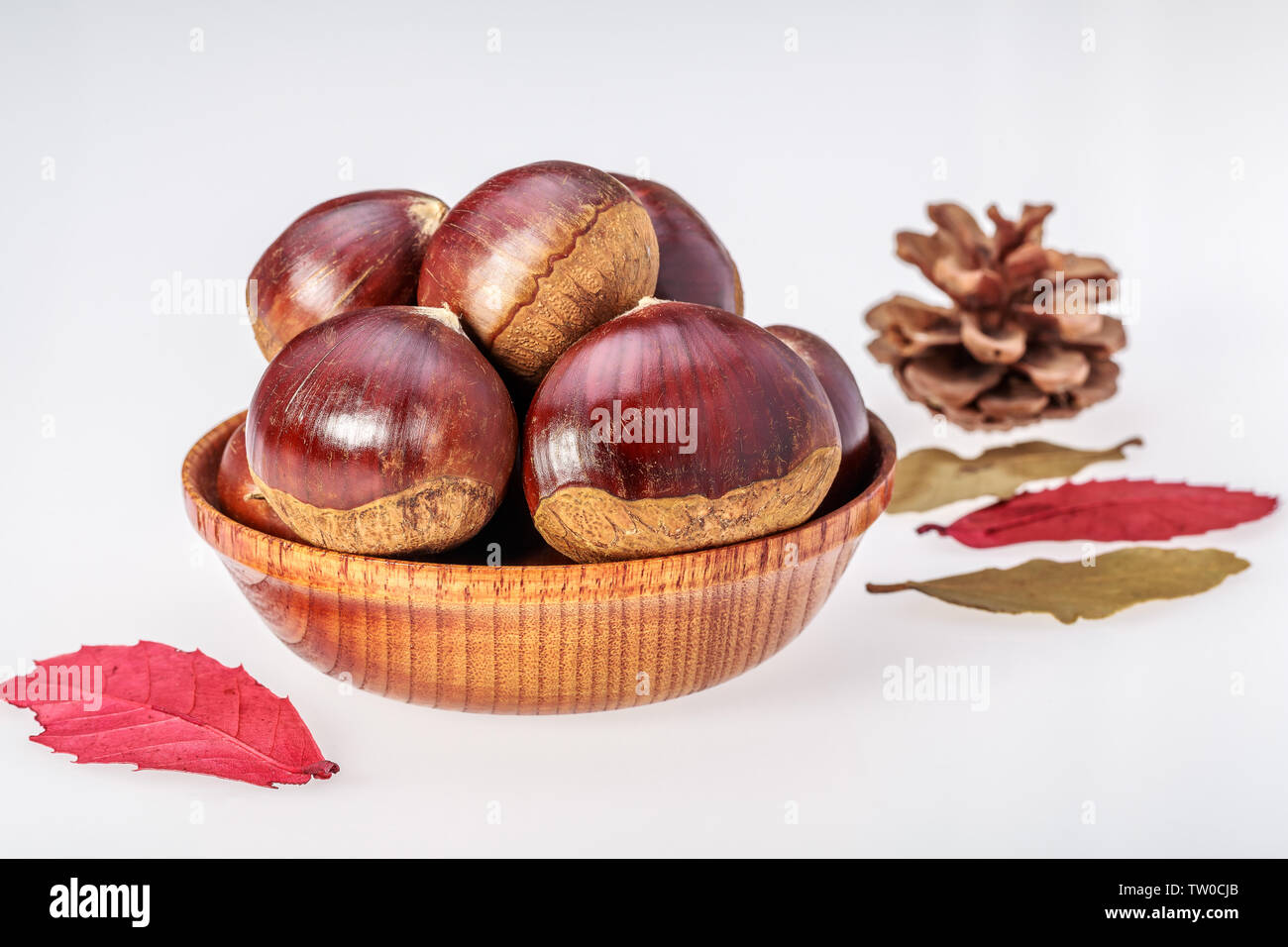 Chestnut horse anatomy hi-res stock photography and images - Alamy
