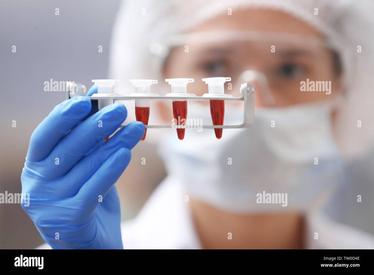 Scientist holding stand with test tubes in laboratory Stock Photo - Alamy