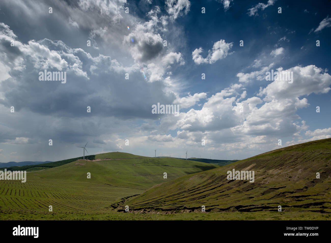 Bashang plateau hi-res stock photography and images - Alamy