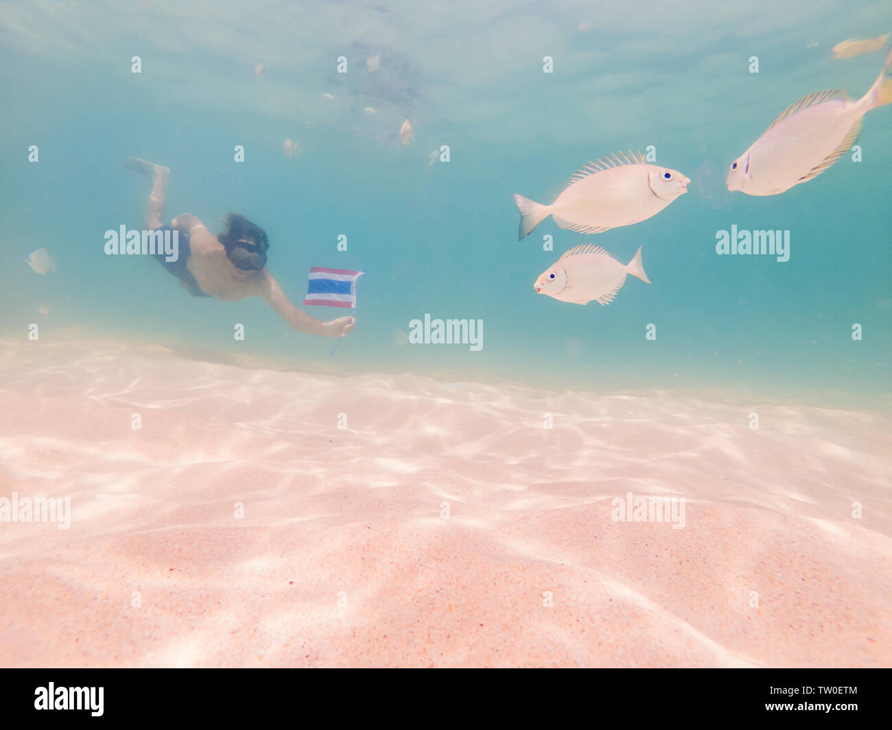 Fluttering fish hi-res stock photography and images - Alamy