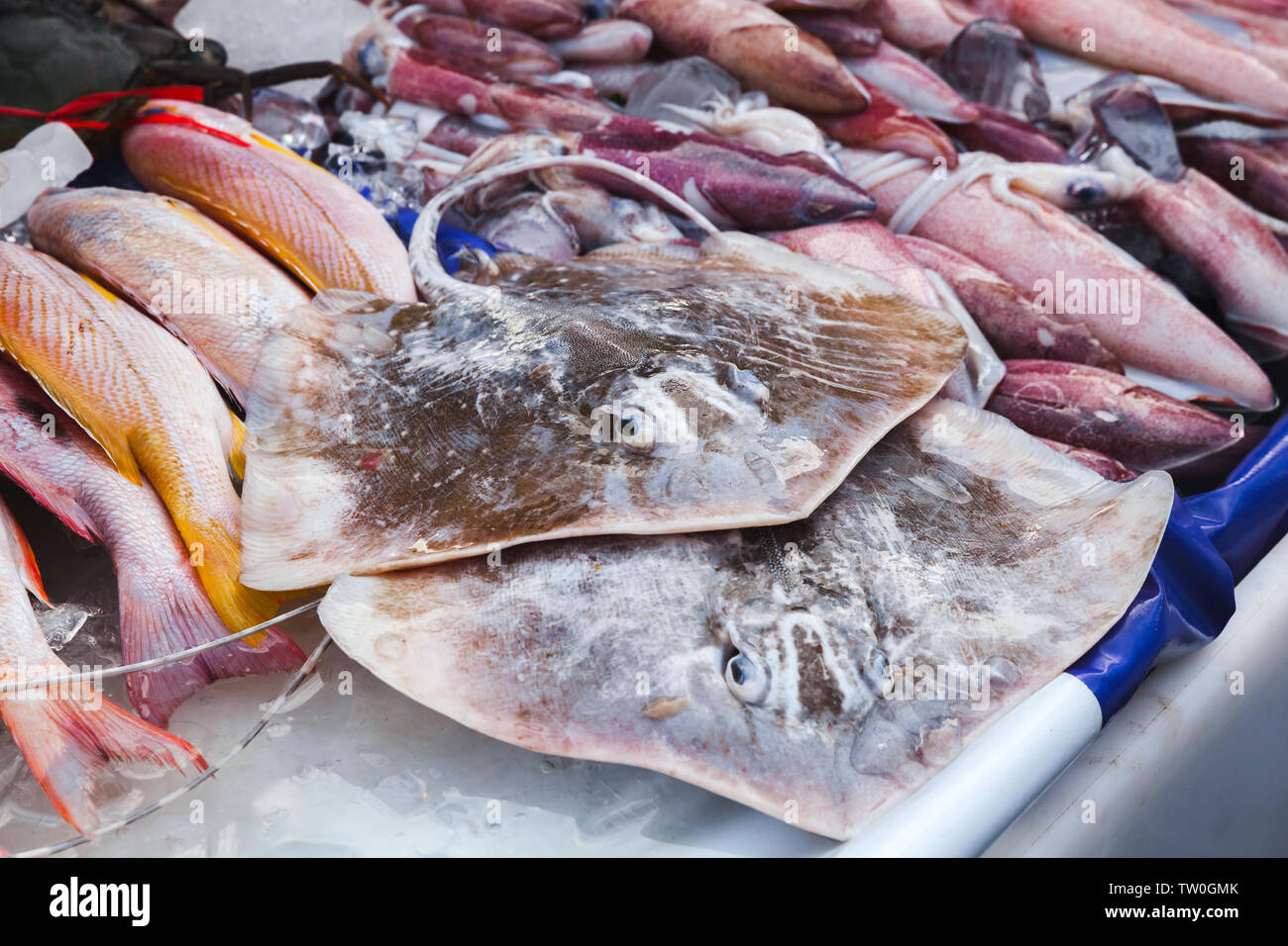 Seafood marketplace hi-res stock photography and images - Alamy