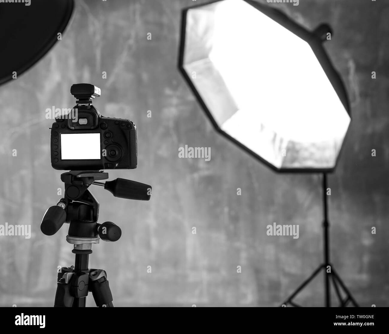 Modern photo studio interior with professional lighting equipment Stock ...