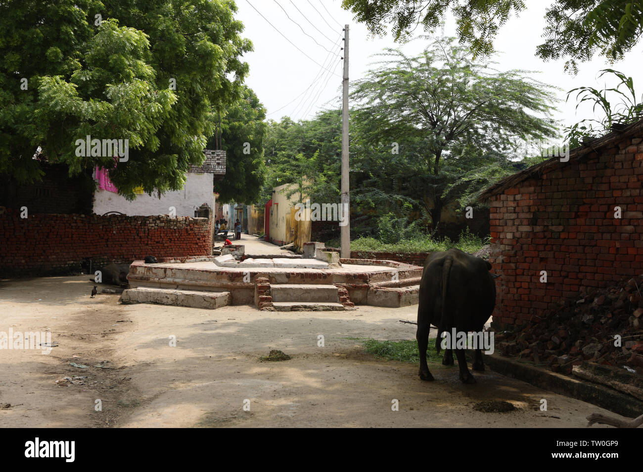 Rural scene, India Stock Photo - Alamy