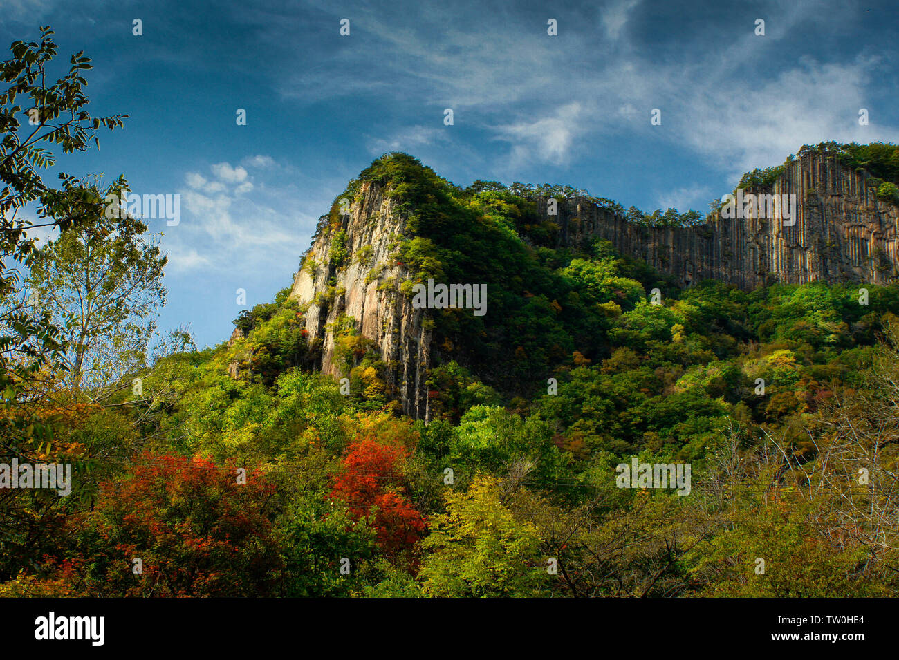 Pushi hi-res stock photography and images - Alamy