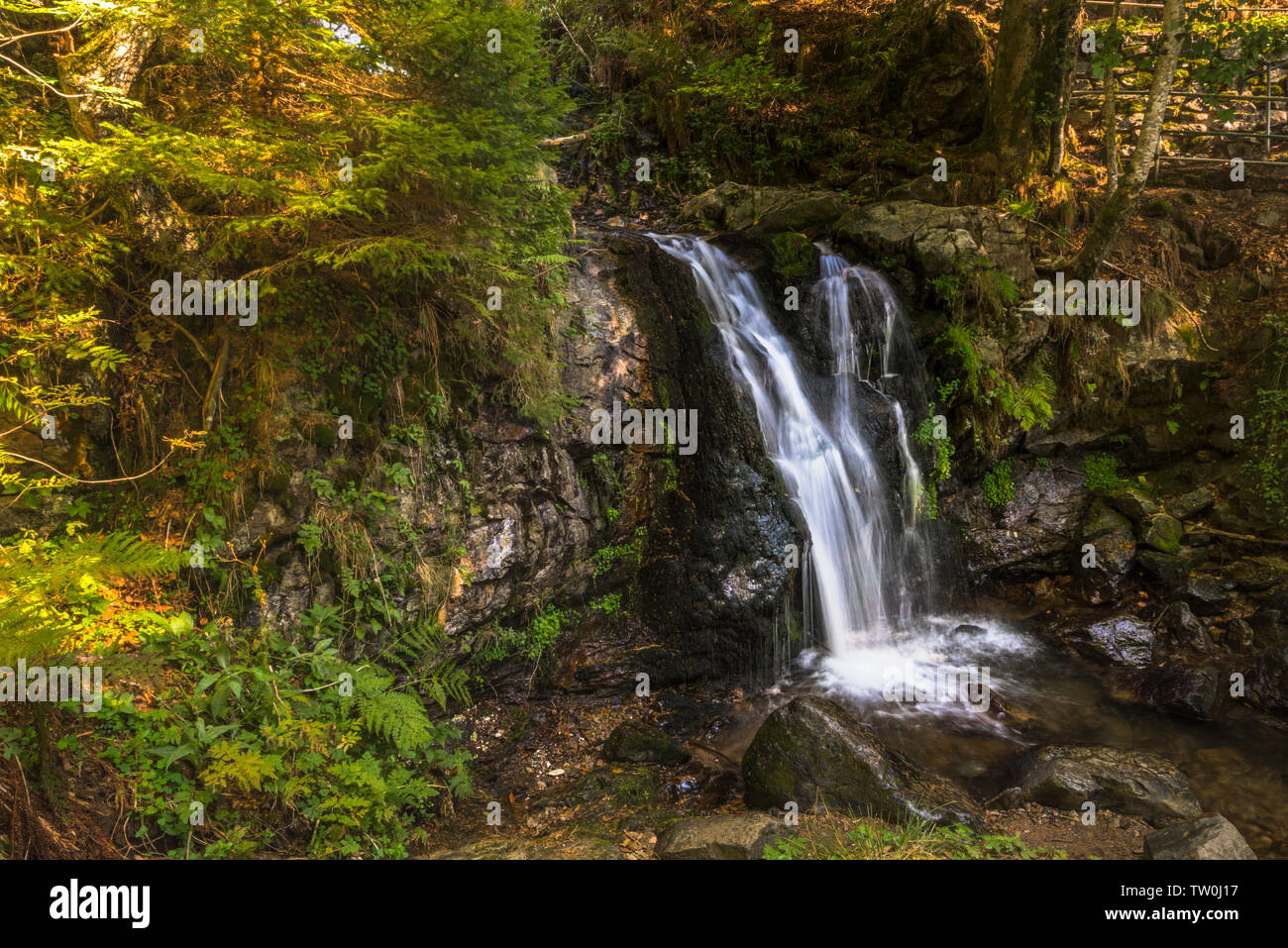Waterfalls of Todtnau, Germany, upper section, popular site of the ...