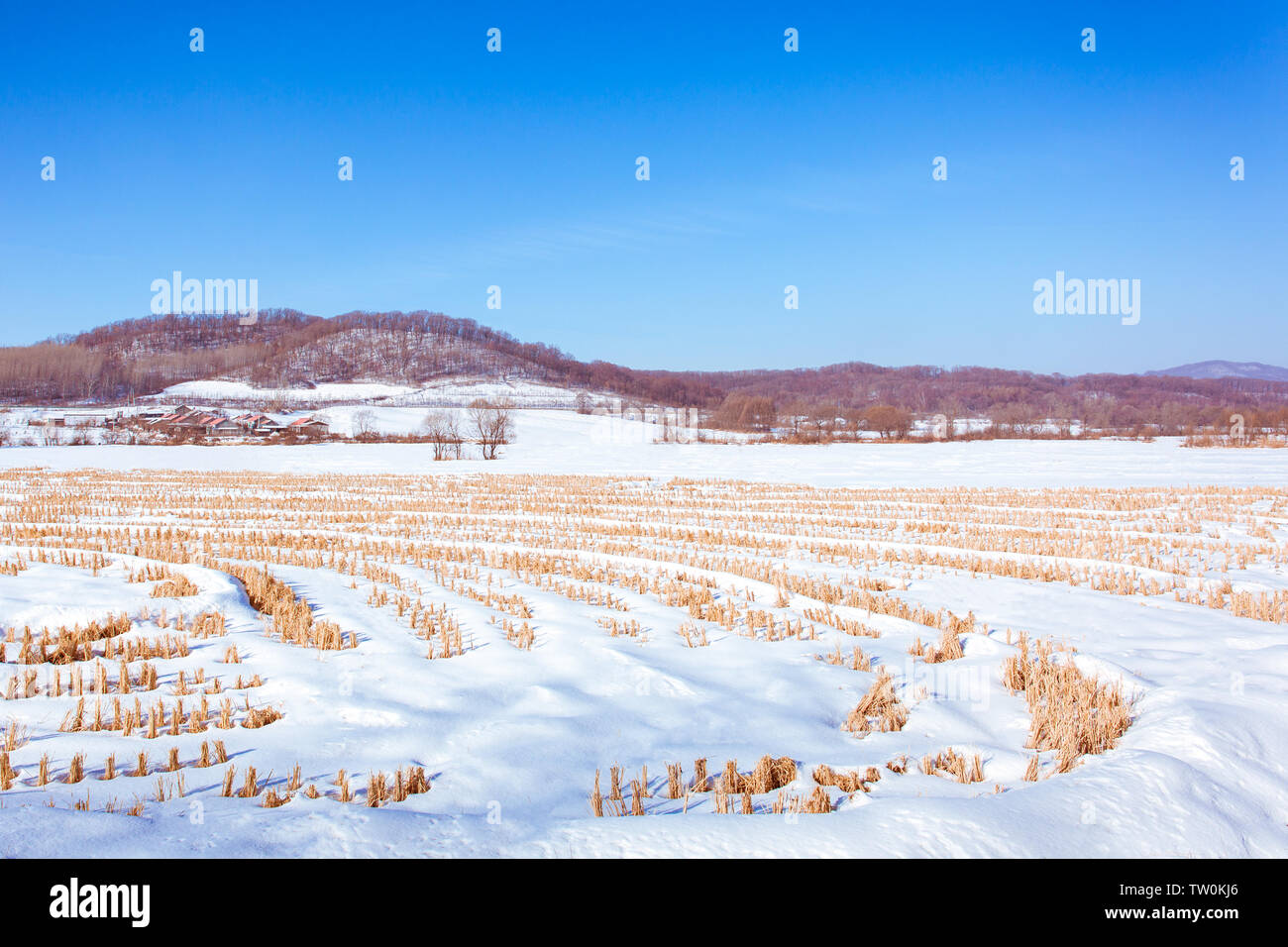 Snow-covered villages and farmland Stock Photo - Alamy
