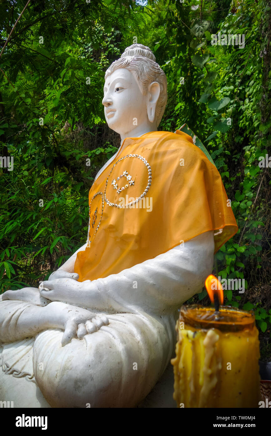White Buddha statue in jungle, Wat Palad, Chiang Mai, Thailand Stock ...