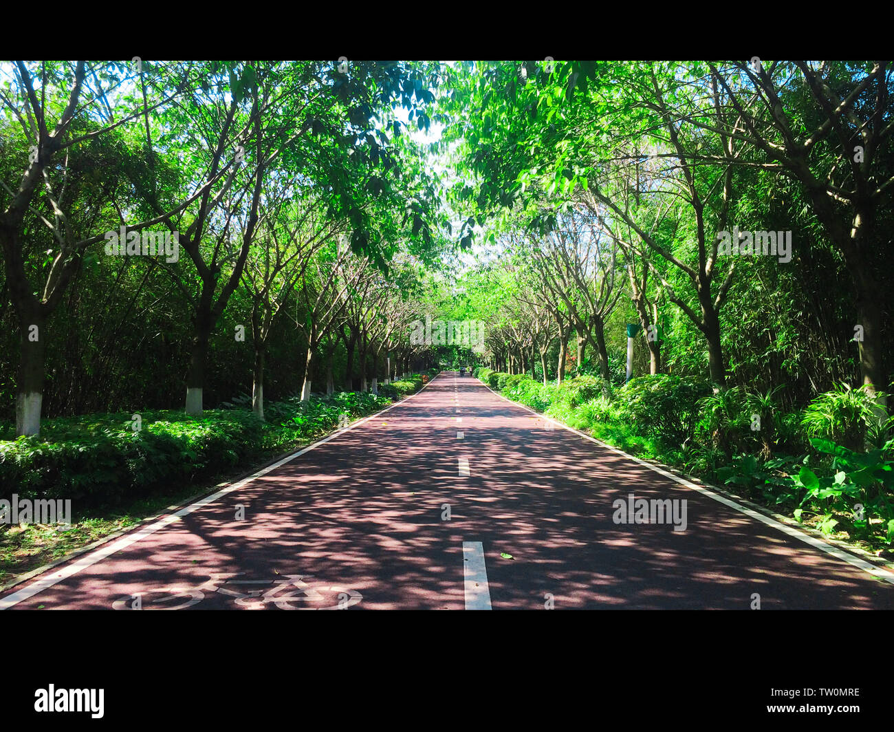 Dongguan blue hi-res stock photography and images - Alamy