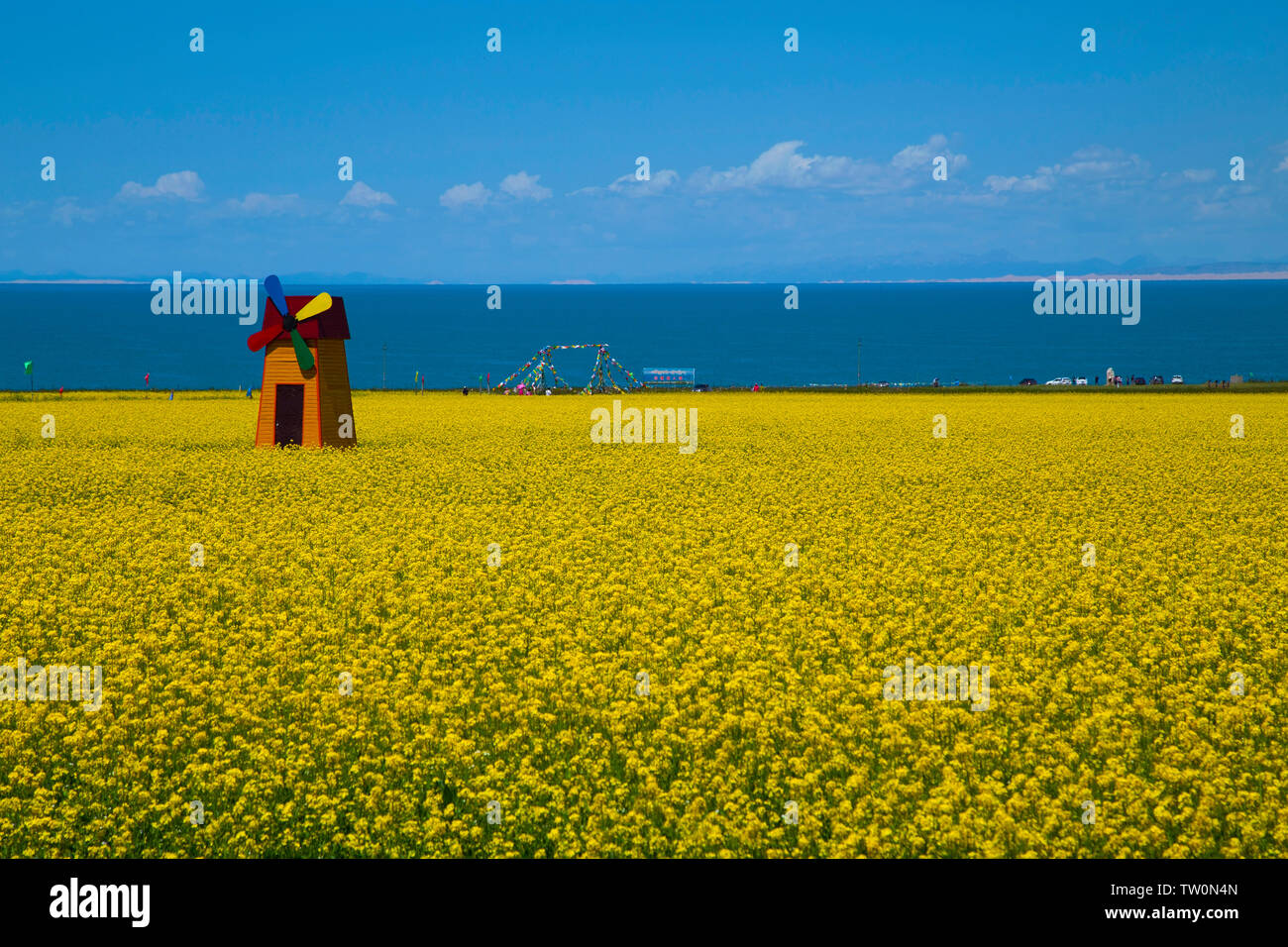 Comfortable weather with qinghai lake hi-res stock photography and ...