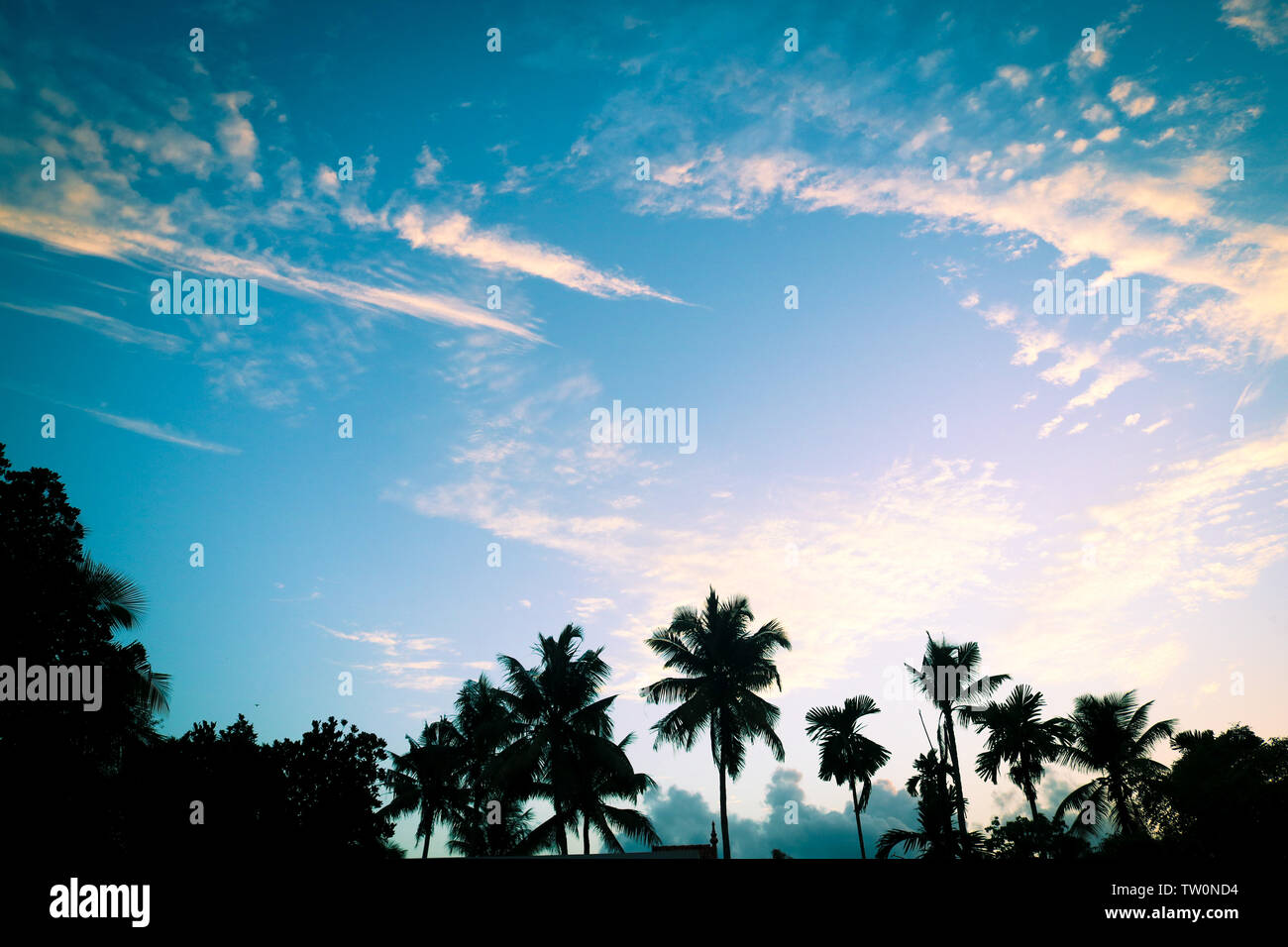 Dim bright hi-res stock photography and images - Alamy