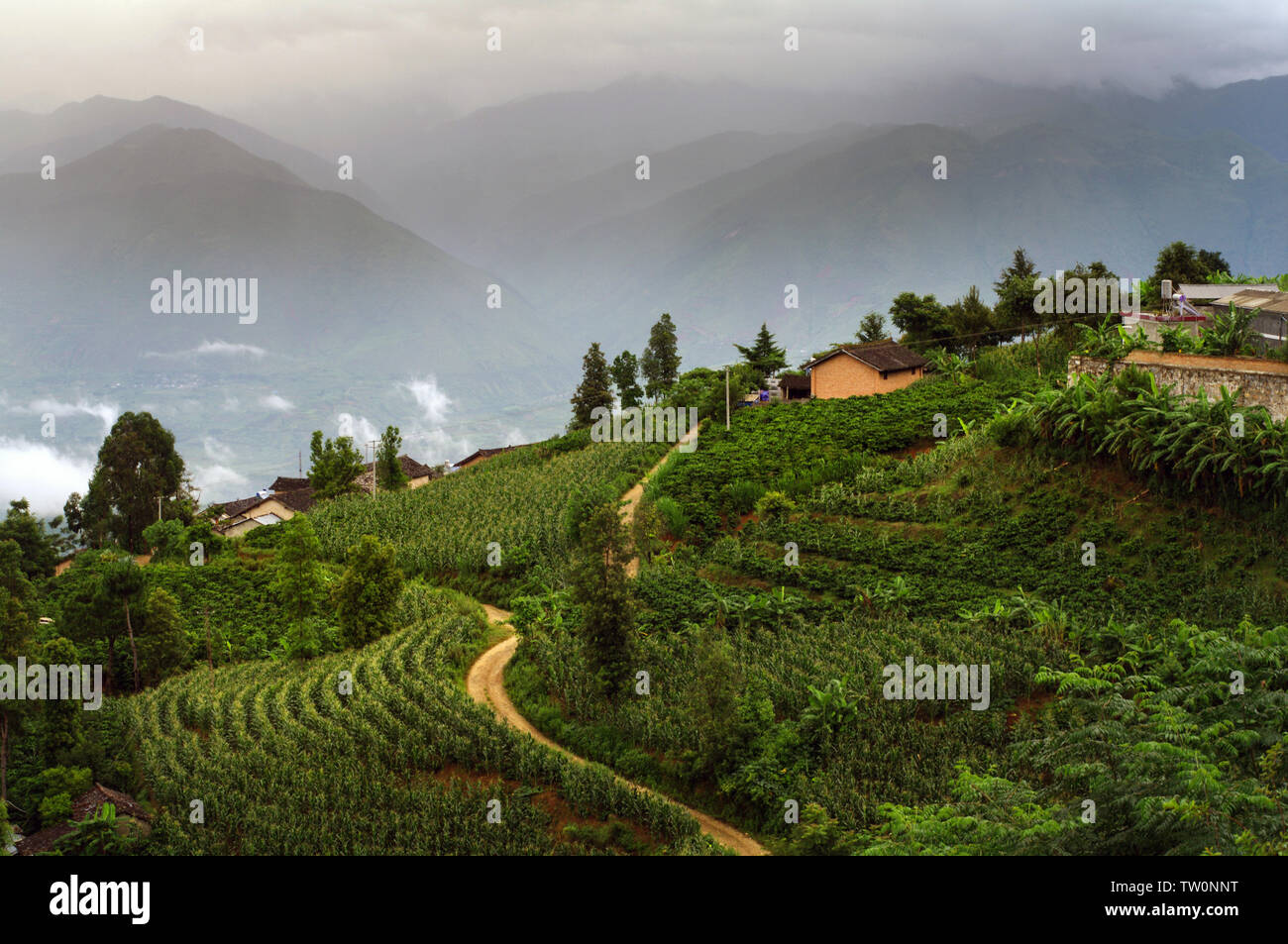 The scenery of the Grand Canyon in Yunnan Stock Photo - Alamy