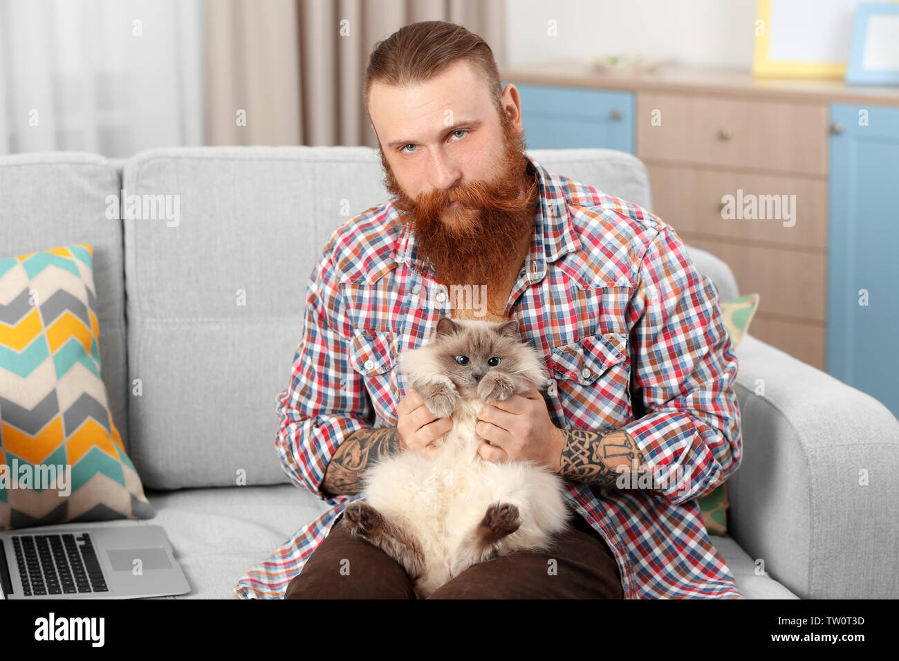Man cat on lap sitting hi-res stock photography and images - Alamy