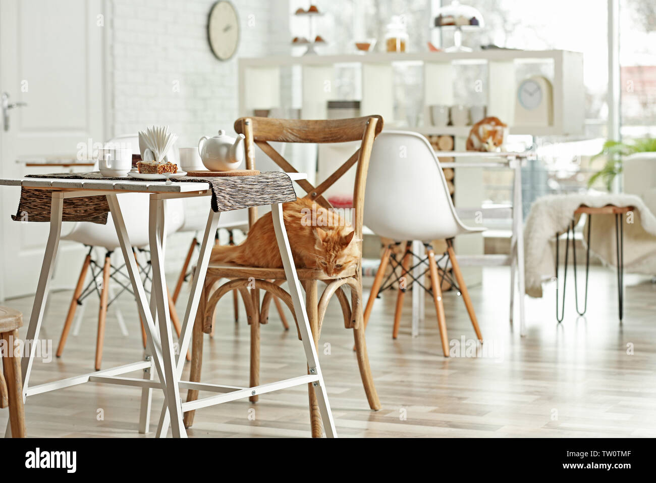 Beautiful interior of modern cat cafe Stock Photo - Alamy