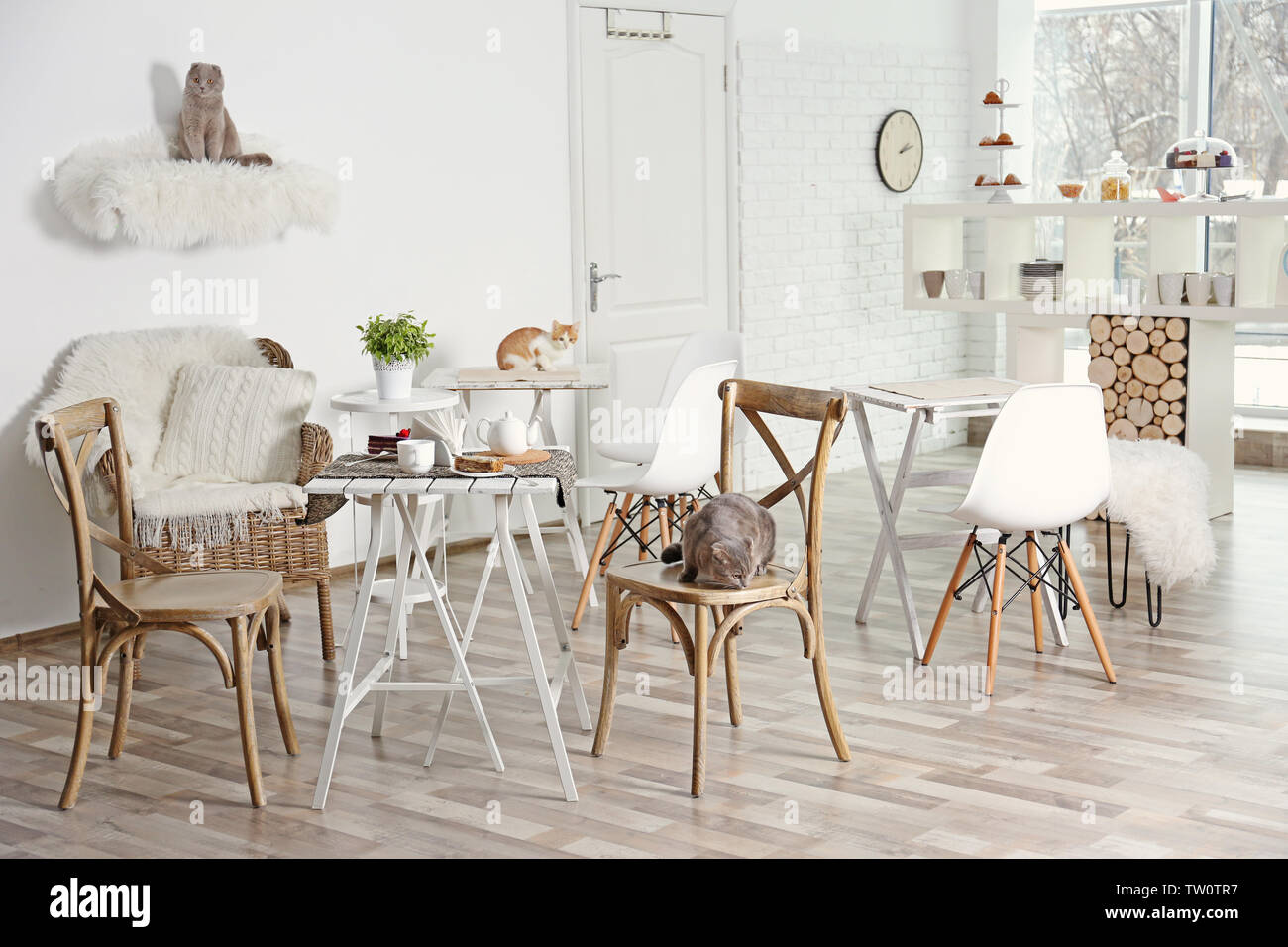 Beautiful interior of modern cat cafe Stock Photo - Alamy