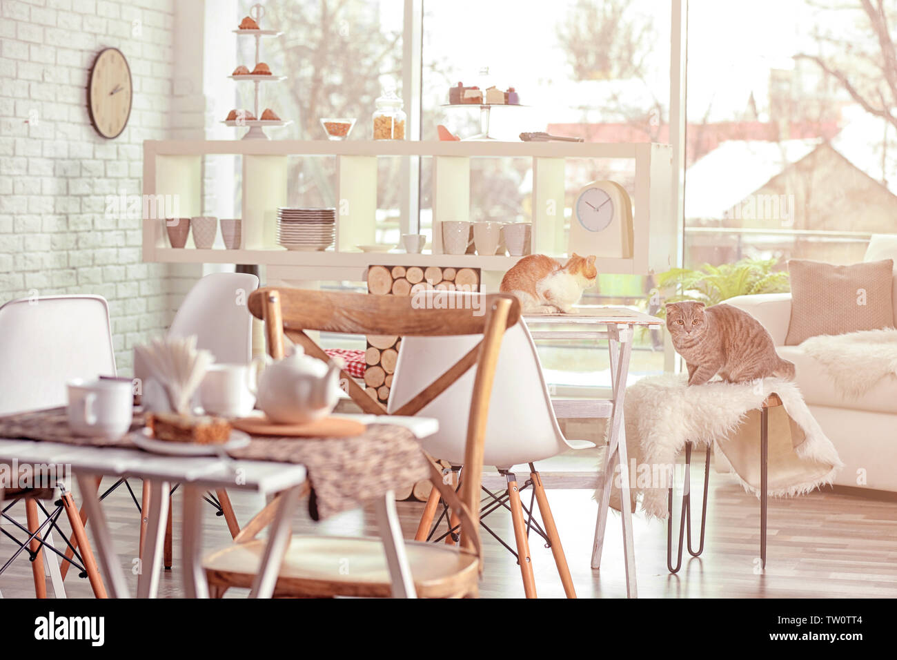 Beautiful interior of modern cat cafe Stock Photo - Alamy
