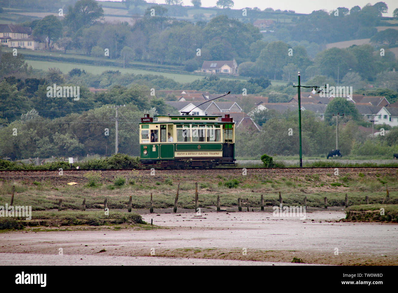 SEATON, DEVON, ENGLAND - MAY 22ND 2012: A green tram travels along the ...