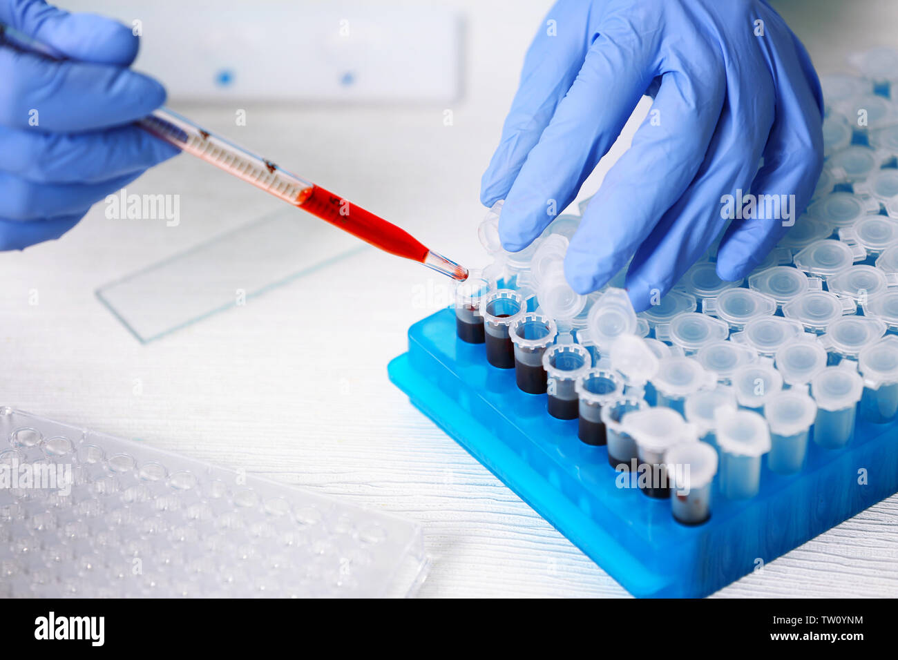 Scientist working with blood samples in laboratory Stock Photo - Alamy