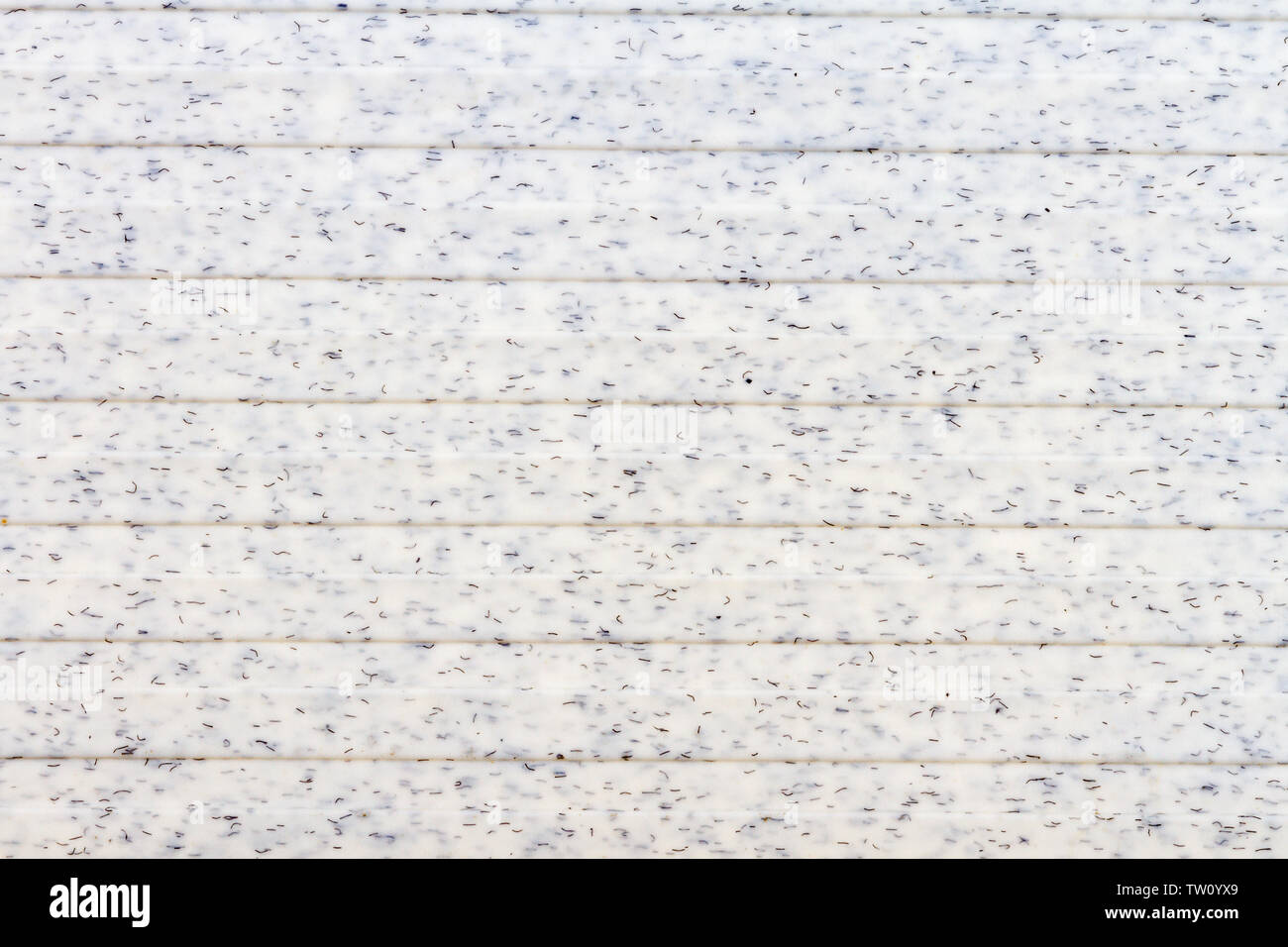 Old plastic texture background hi-res stock photography and images - Alamy