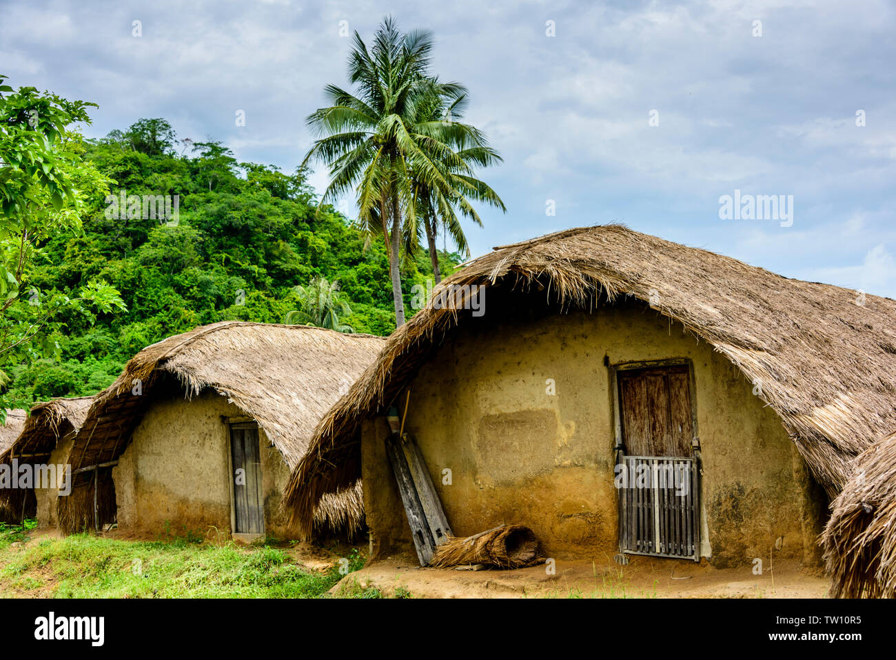 Baicha hi-res stock photography and images - Alamy