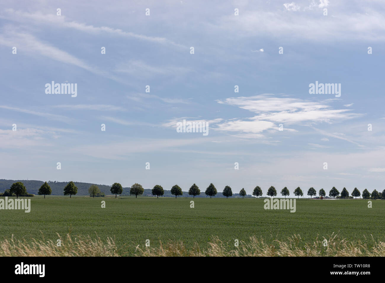 German countryside landscape: series of trees with hills as background ...