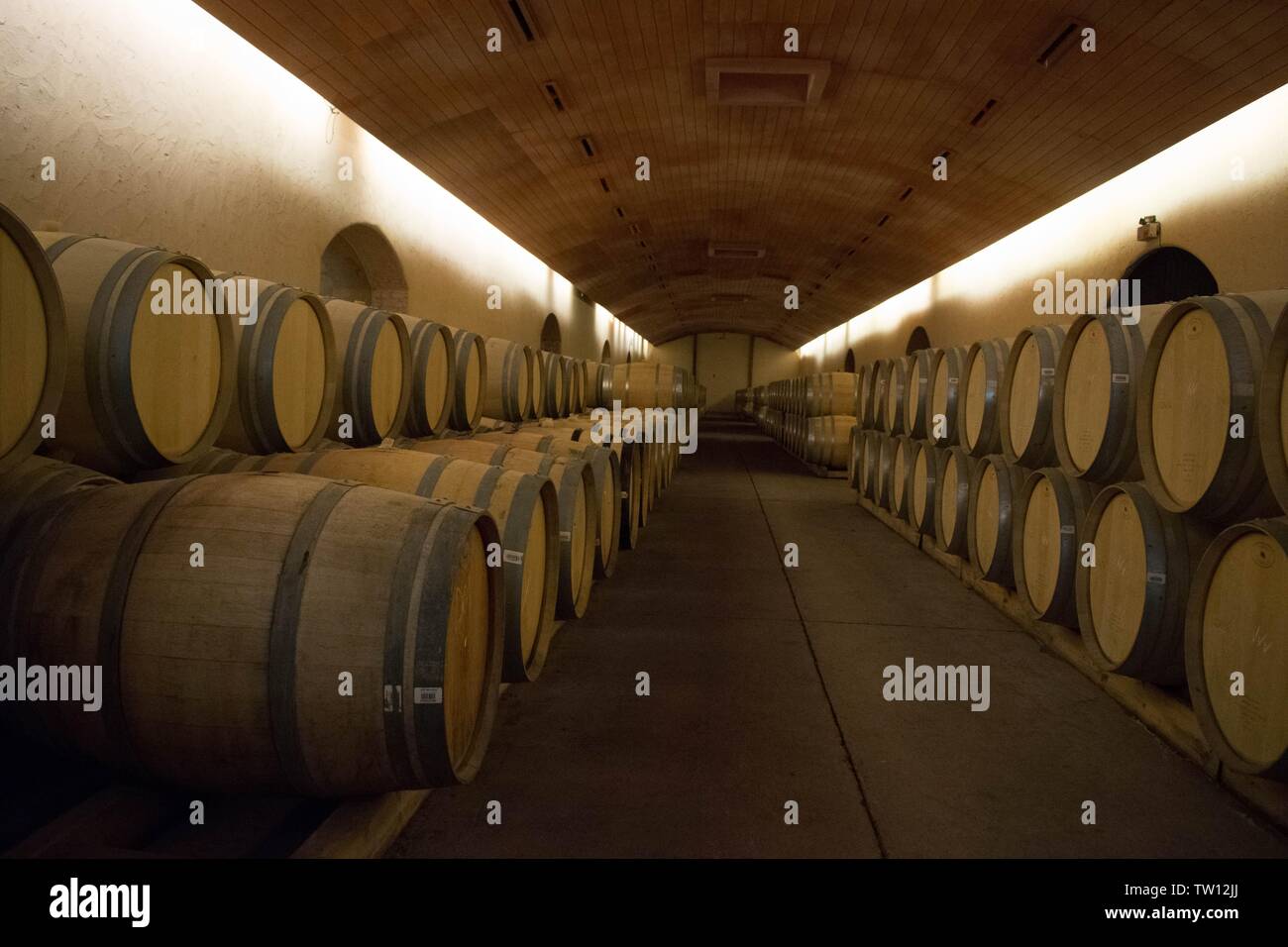 Interior shot of a wine cellar with wine kegs and barrels Stock Photo ...