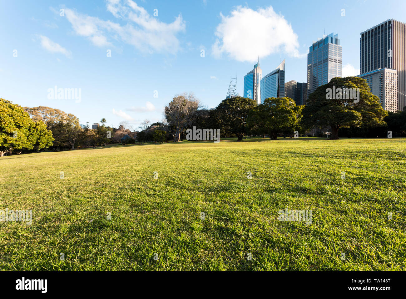 No one has lawns. Outdoors. Nature. Landscapes. Scenic trees. Sky. Sky ...