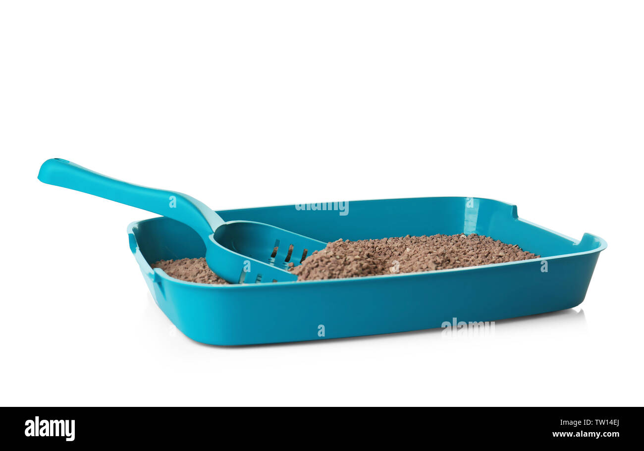 Plastic litter box with filler on white background Stock Photo - Alamy
