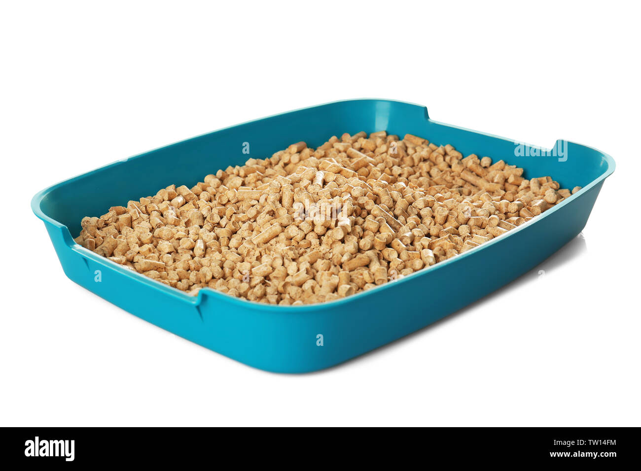 Plastic litter box with filler on white background Stock Photo - Alamy