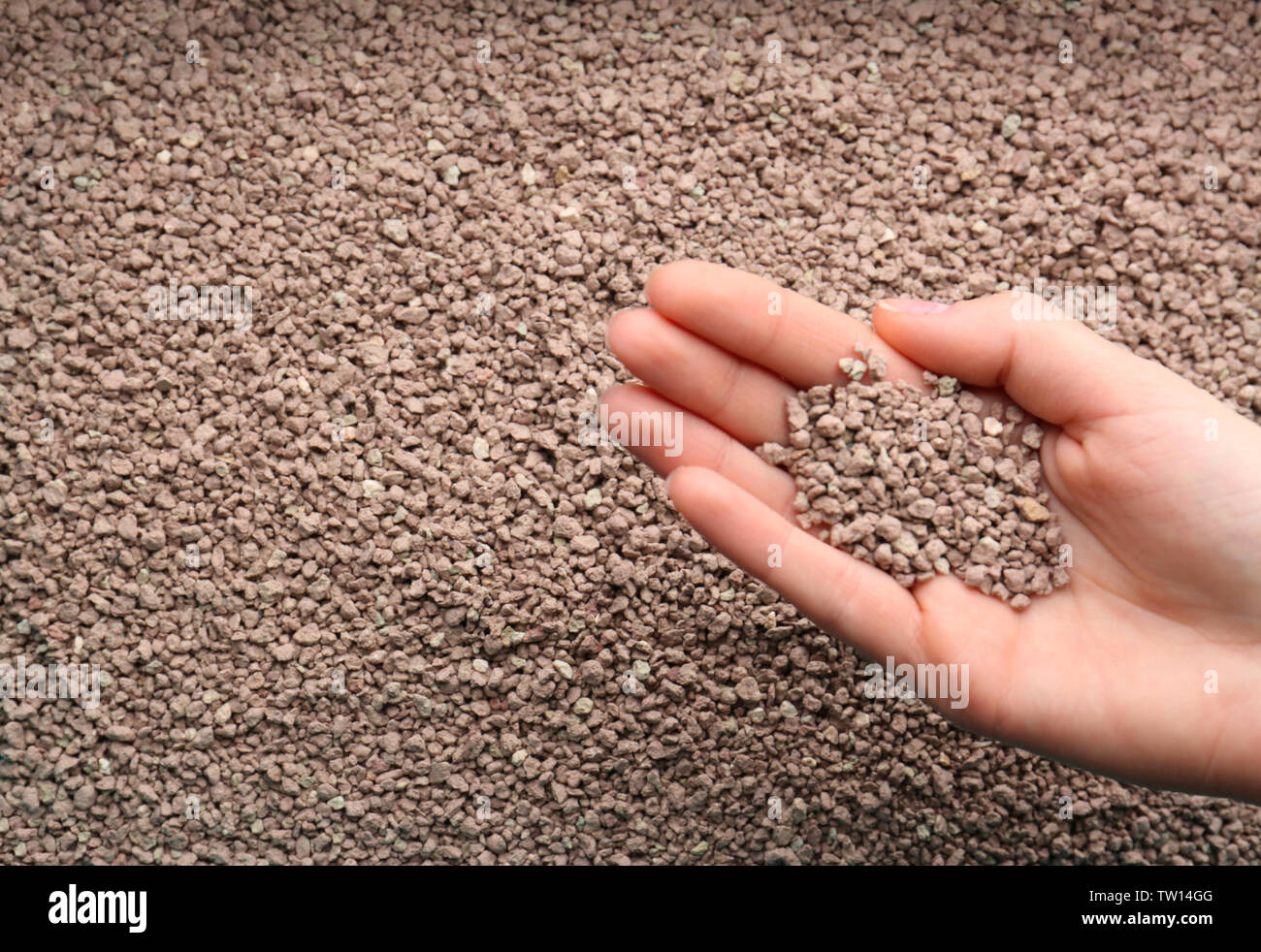 Female hand holding cat litter Stock Photo - Alamy
