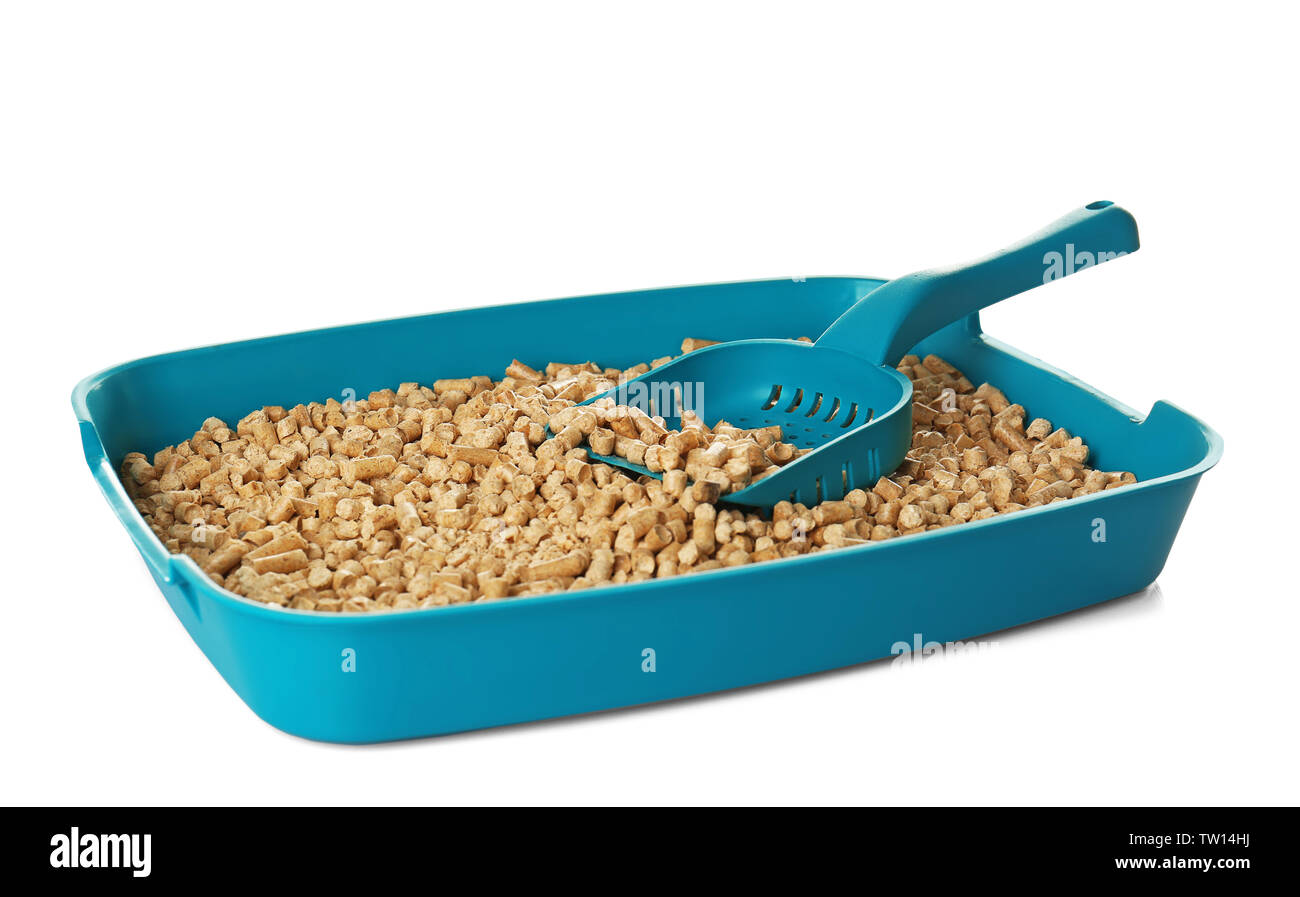 Plastic litter box with filler on white background Stock Photo - Alamy