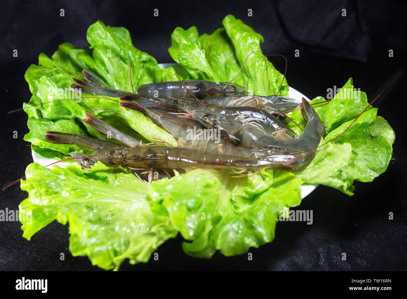Roche shrimp hi-res stock photography and images - Alamy