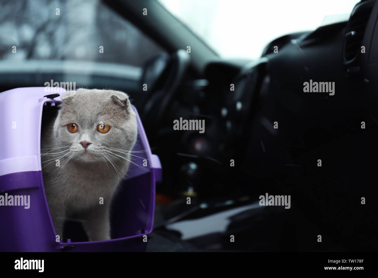Pet hiding cage hi-res stock photography and images - Alamy