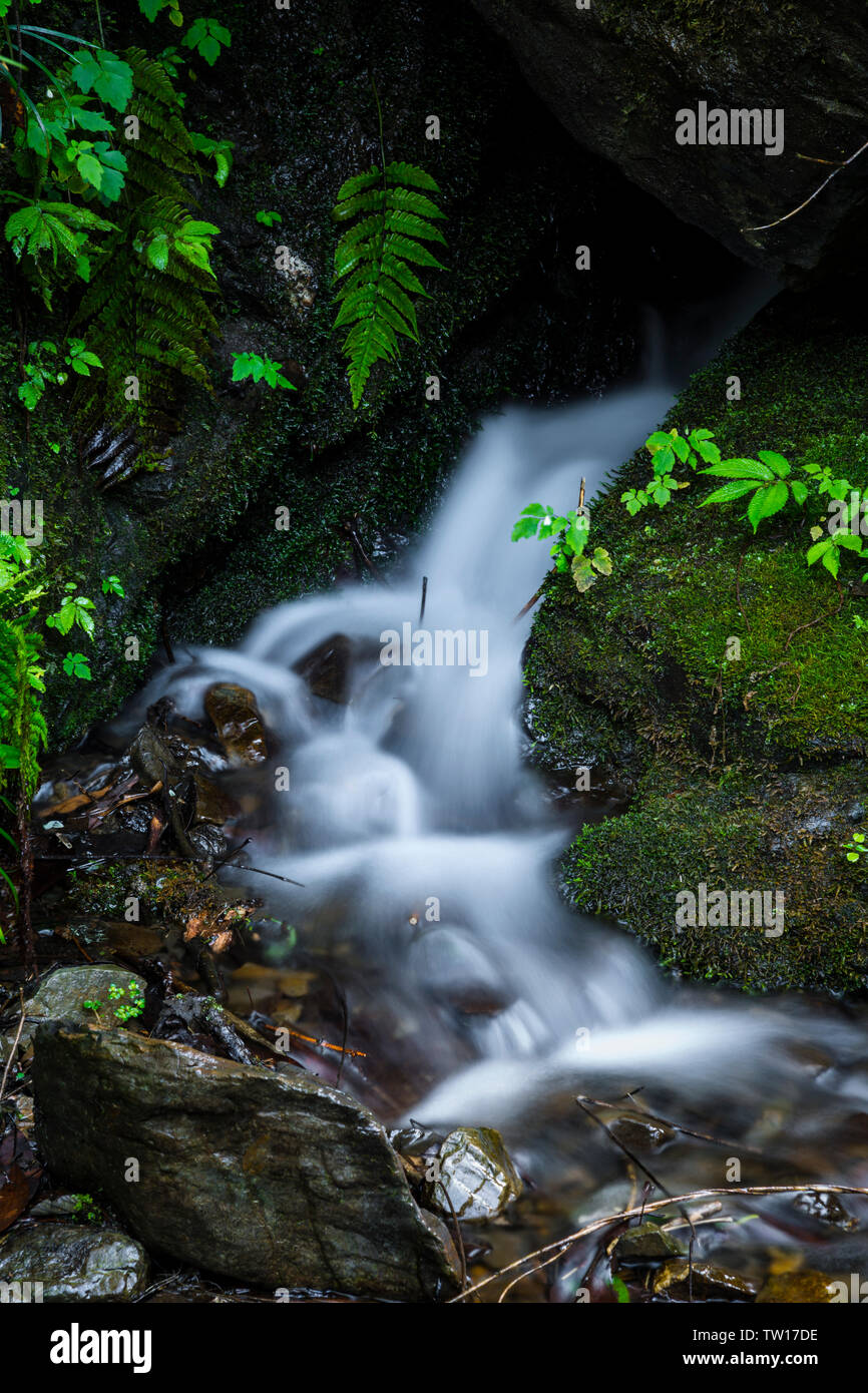 Mountain stream waterfall Stock Photo - Alamy