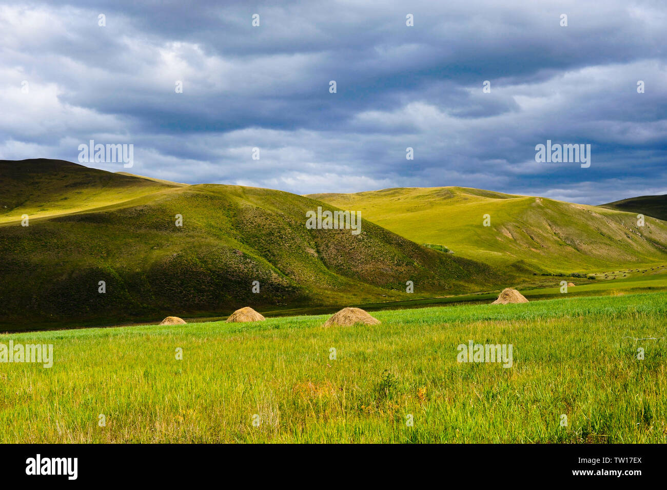 Inner Mongolia Prairie Stock Photo - Alamy