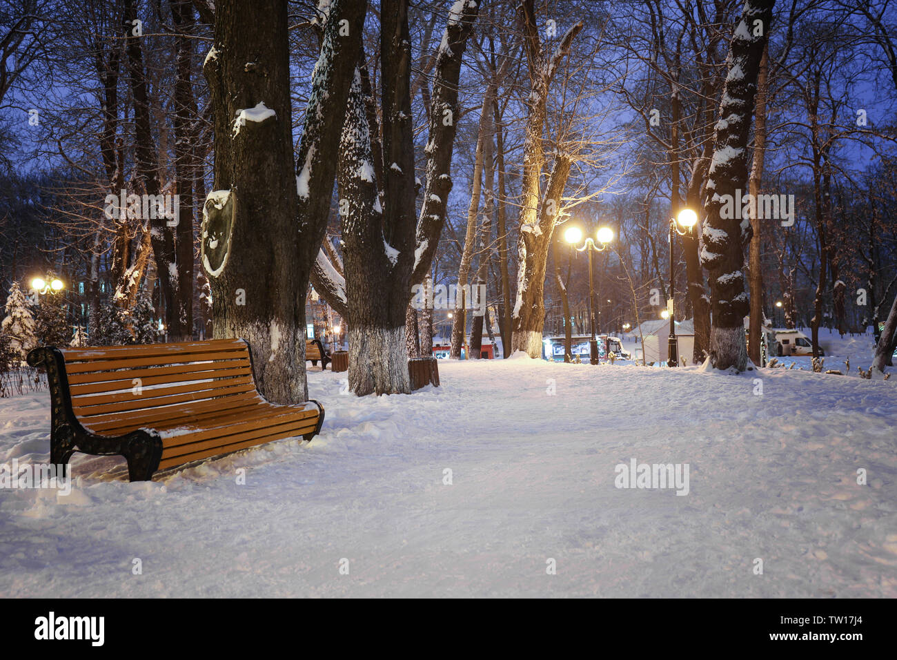 Beautiful winter landscape with snowy alley in evening Stock Photo - Alamy