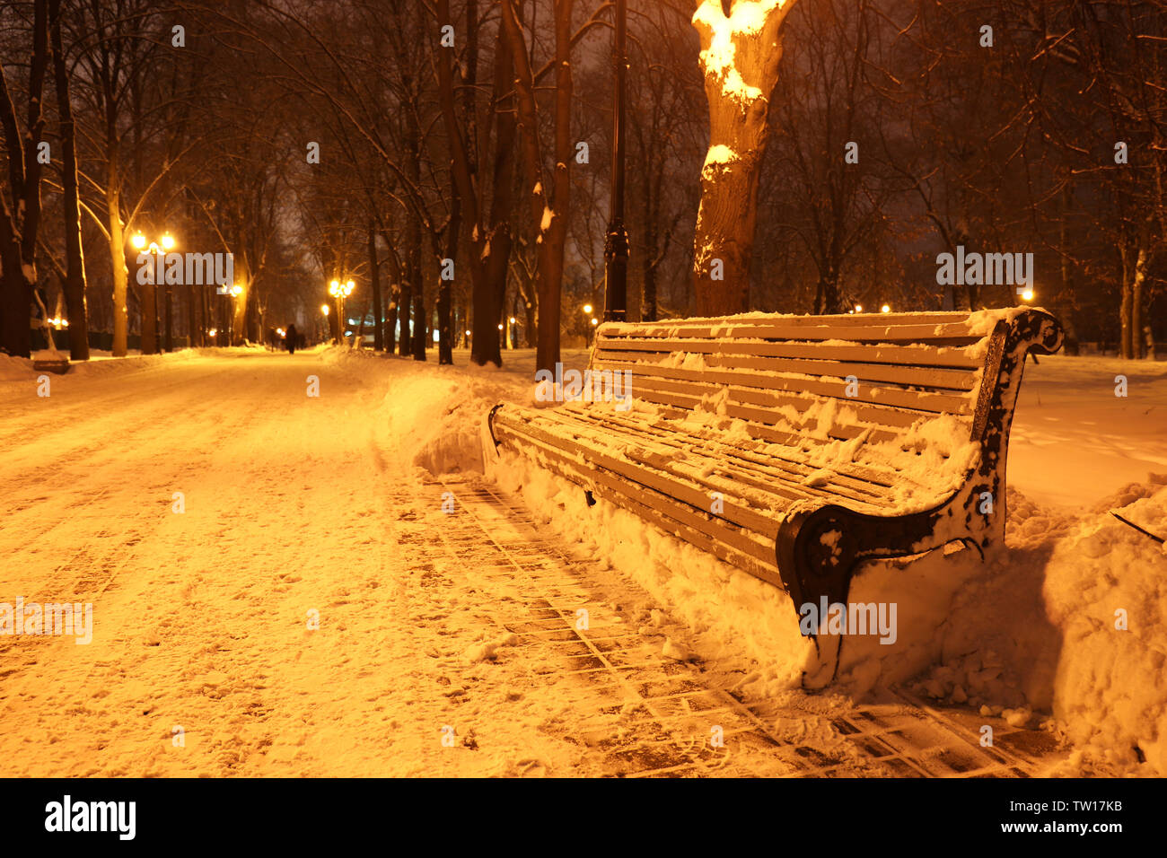 Beautiful winter landscape with snowy alley in evening Stock Photo - Alamy