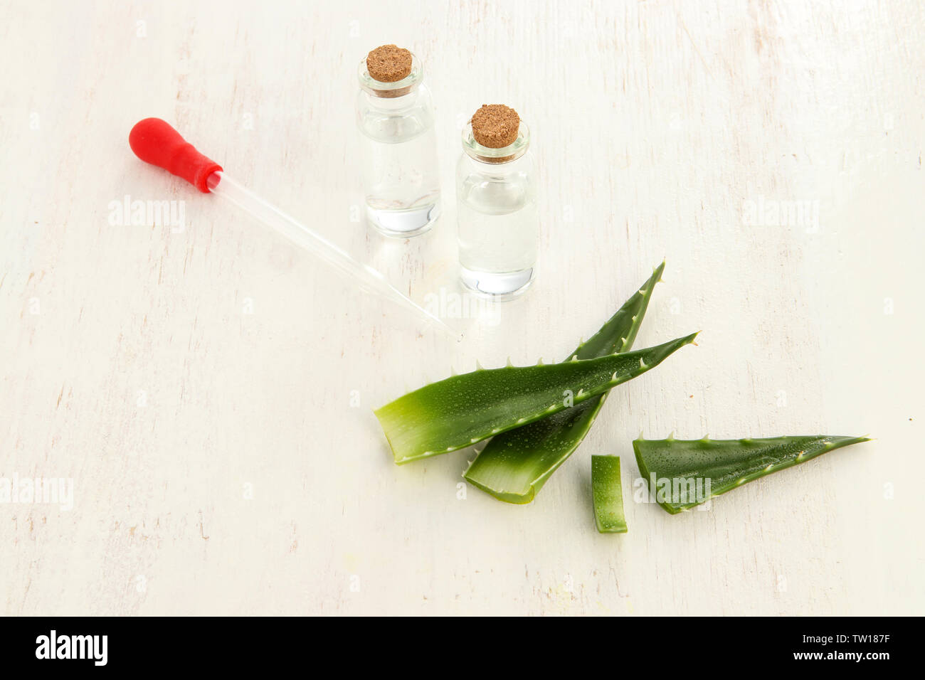 Fresh aloe vera Stock Photo - Alamy