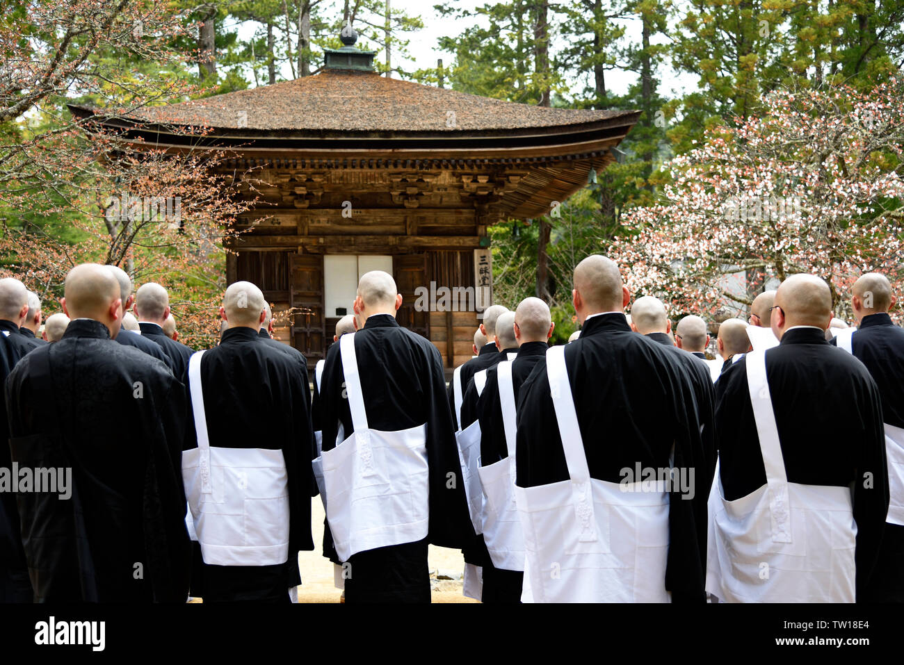 Japanese monks at prayer Koyasan Japan Stock Photo - Alamy