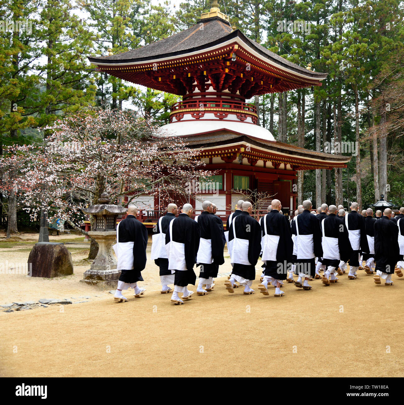 Japanese monks at prayer Koyasan Japan Stock Photo - Alamy