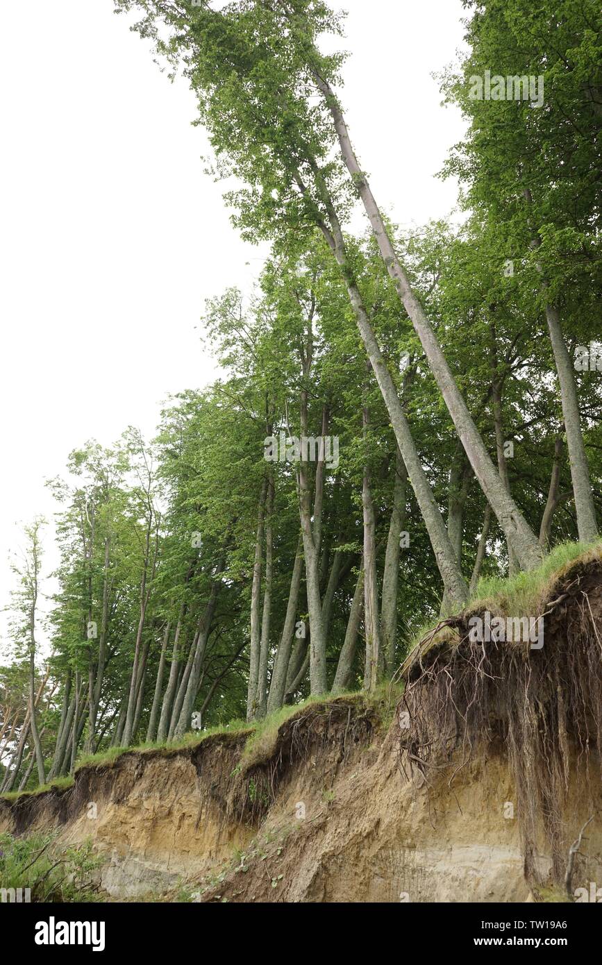 Denudation erosion weathering hi-res stock photography and images - Alamy