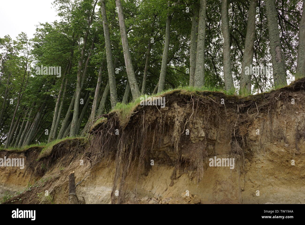 Denudation erosion weathering hi-res stock photography and images - Alamy
