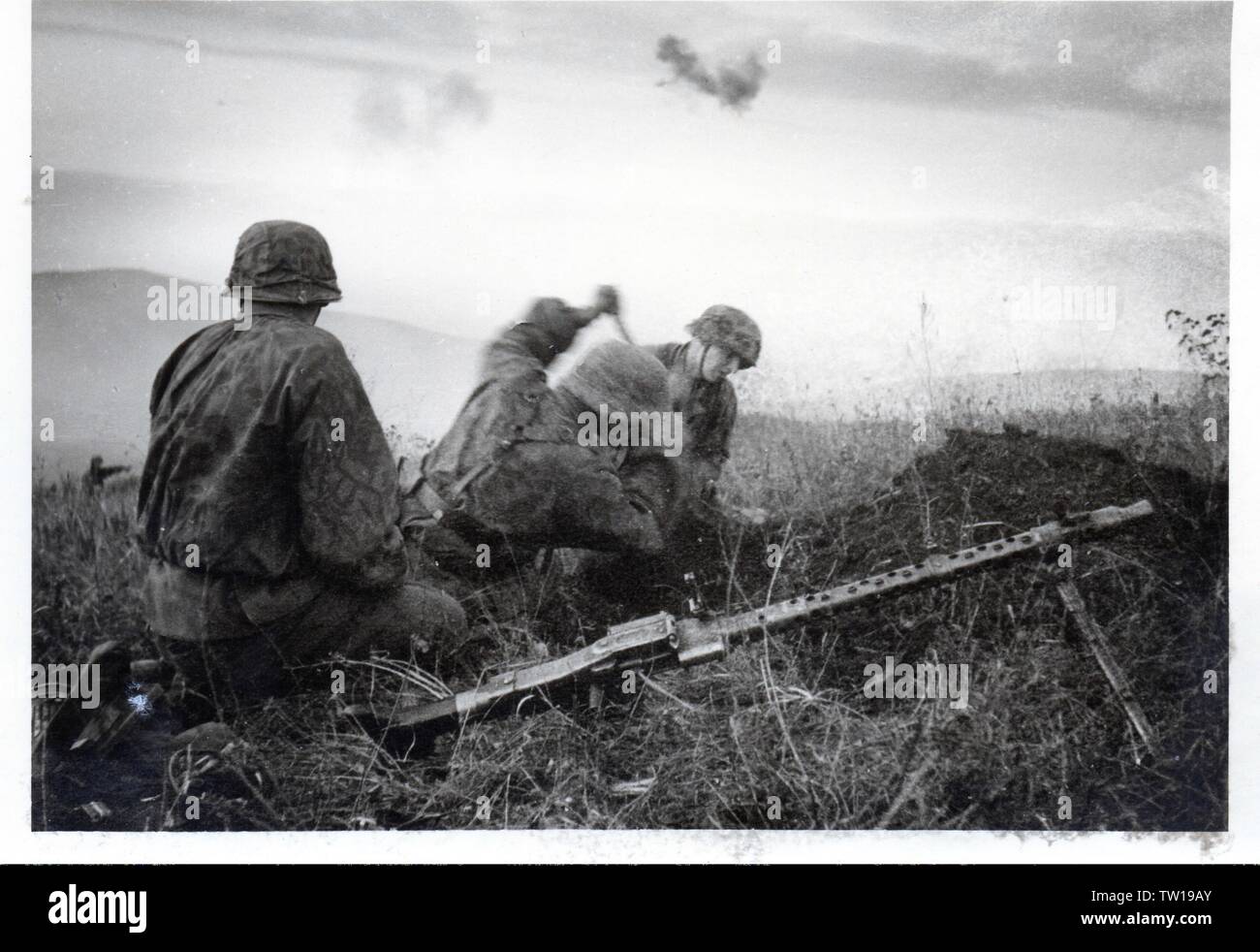 Ss Panzer Division Wiking High Resolution Stock Photography and Images ...