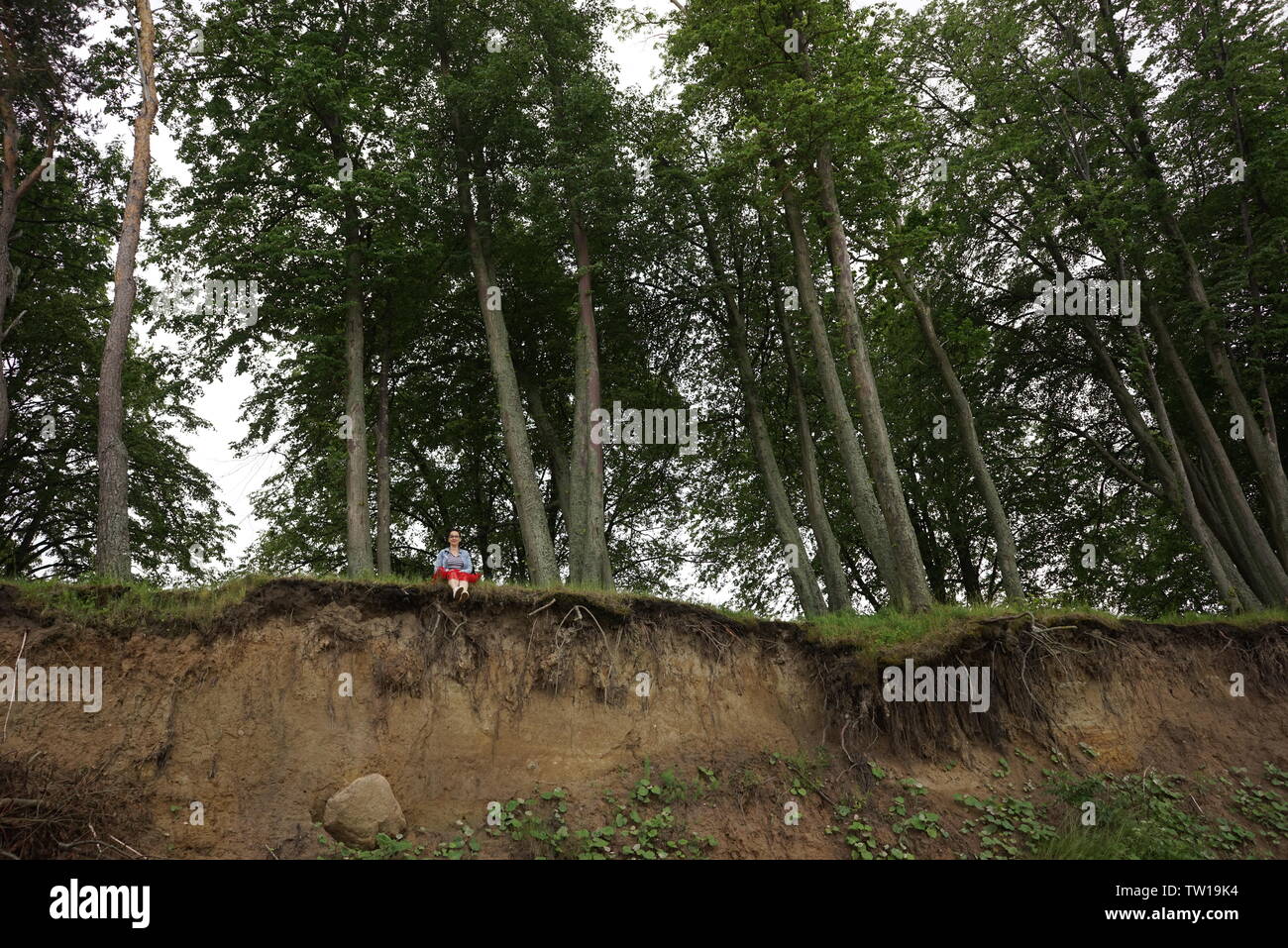 Slide Soil Erosion, Row of Trees Exposed to Seaside Cliff Face Erosion ...