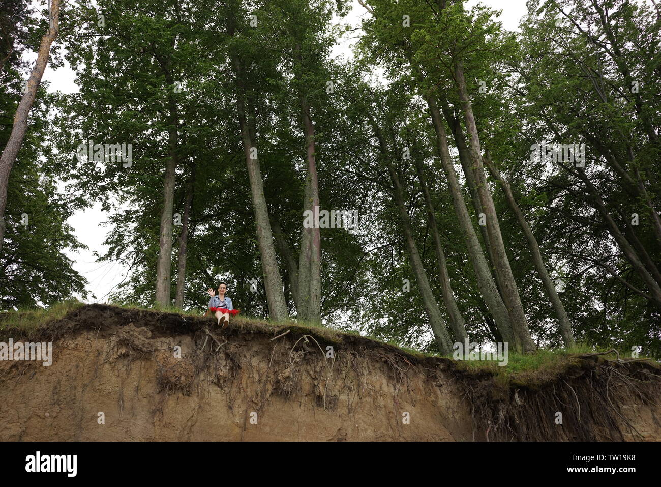 Slide Soil Erosion, Row of Trees Exposed to Seaside Cliff Face Erosion ...