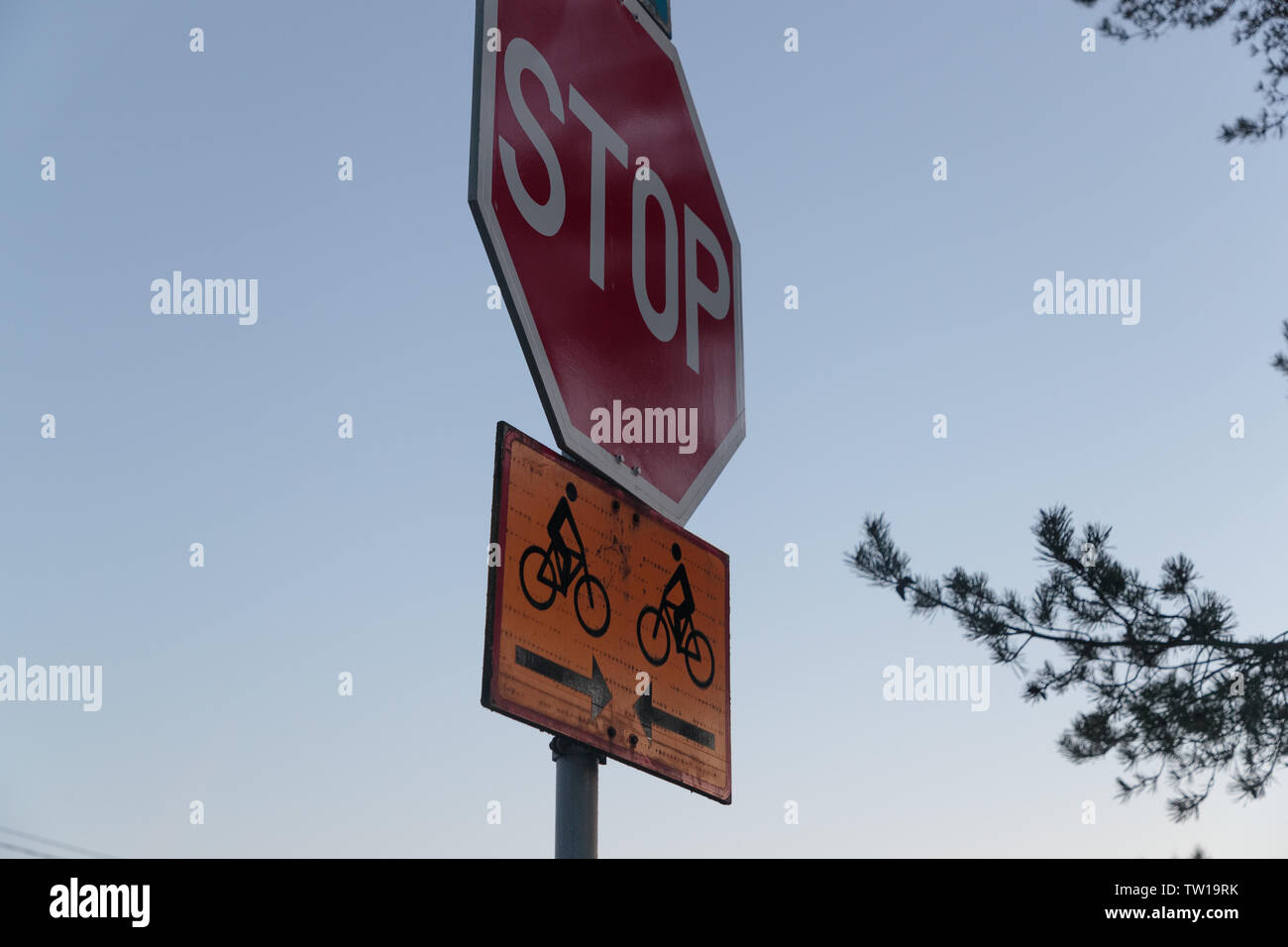 road stop sign and cyclist traffic Stock Photo - Alamy
