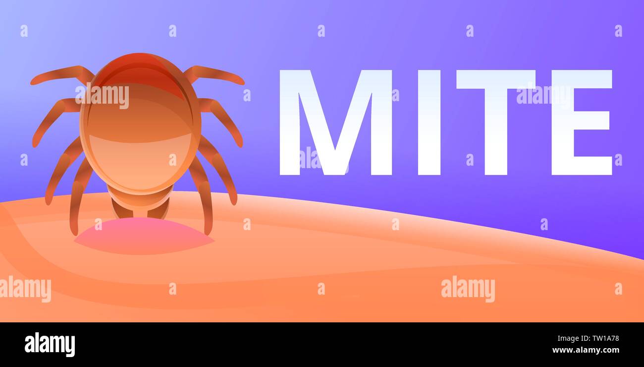 Mite skin concept banner. Cartoon illustration of mite skin vector ...