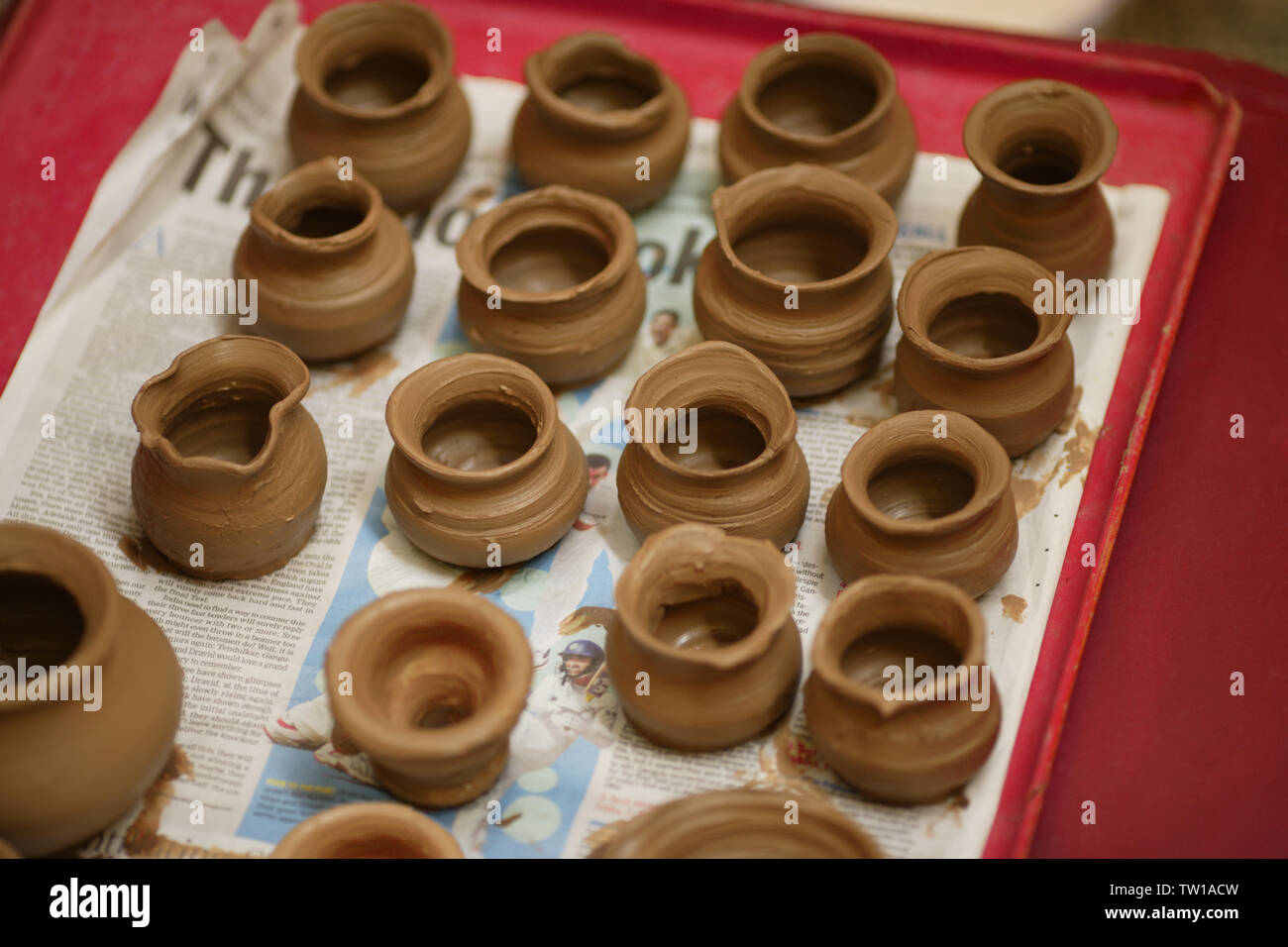 Fresh pots arranged in a tray Stock Photo - Alamy