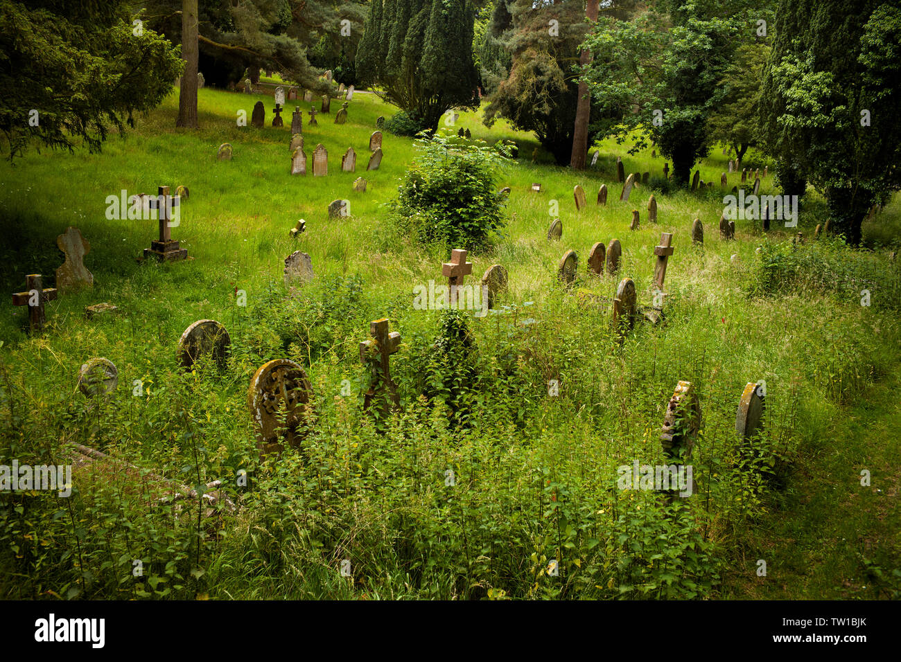 Halesworth Victorian Cemetery, Halesworth Suffolk, England UK. June ...