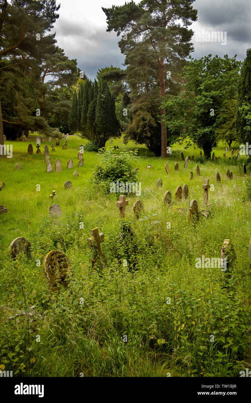 Halesworth Victorian Cemetery, Halesworth Suffolk, England UK. June ...