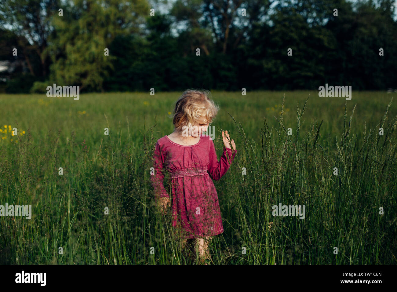 Child touching grass hi-res stock photography and images - Alamy